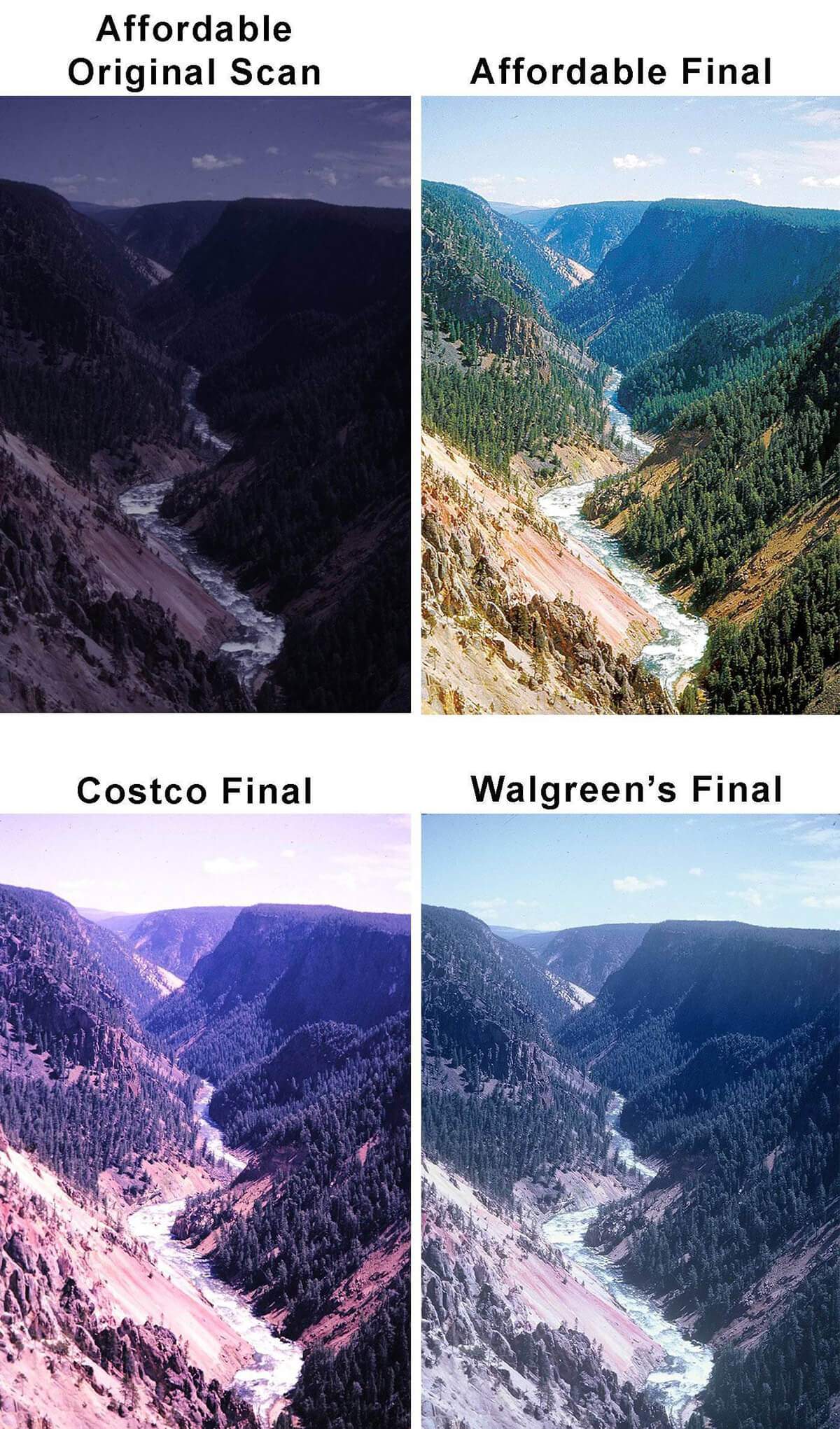 Costco vs Walgreens vs Affordable: Slide Scanning Comparison